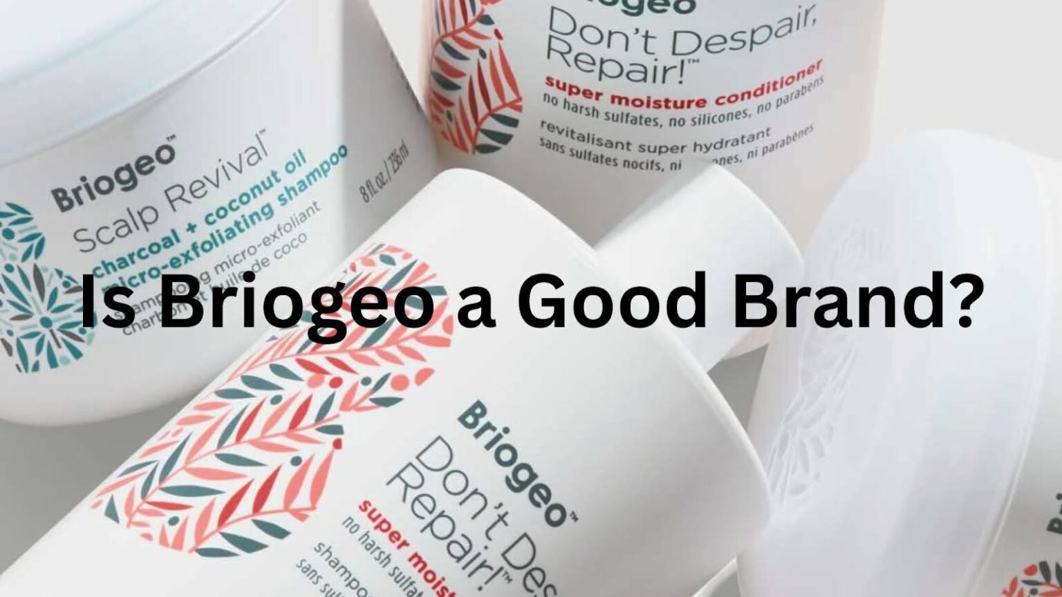 Is Briogeo a Good Brand? Reviews & Experiences | TheBeautyFoodie